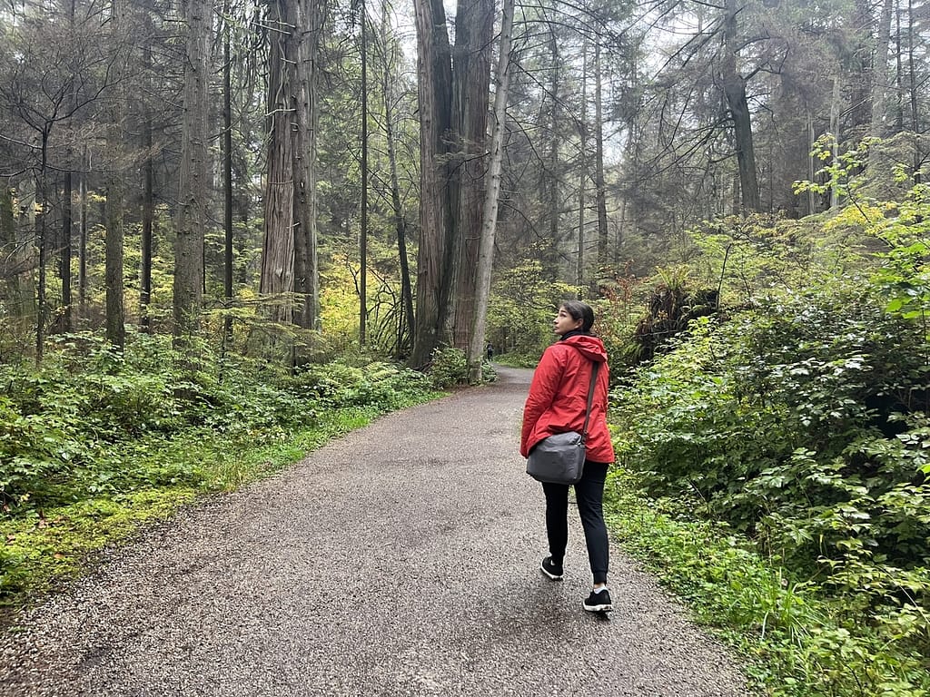 Exploring the World of Soundwalks: A Comprehensive Guide