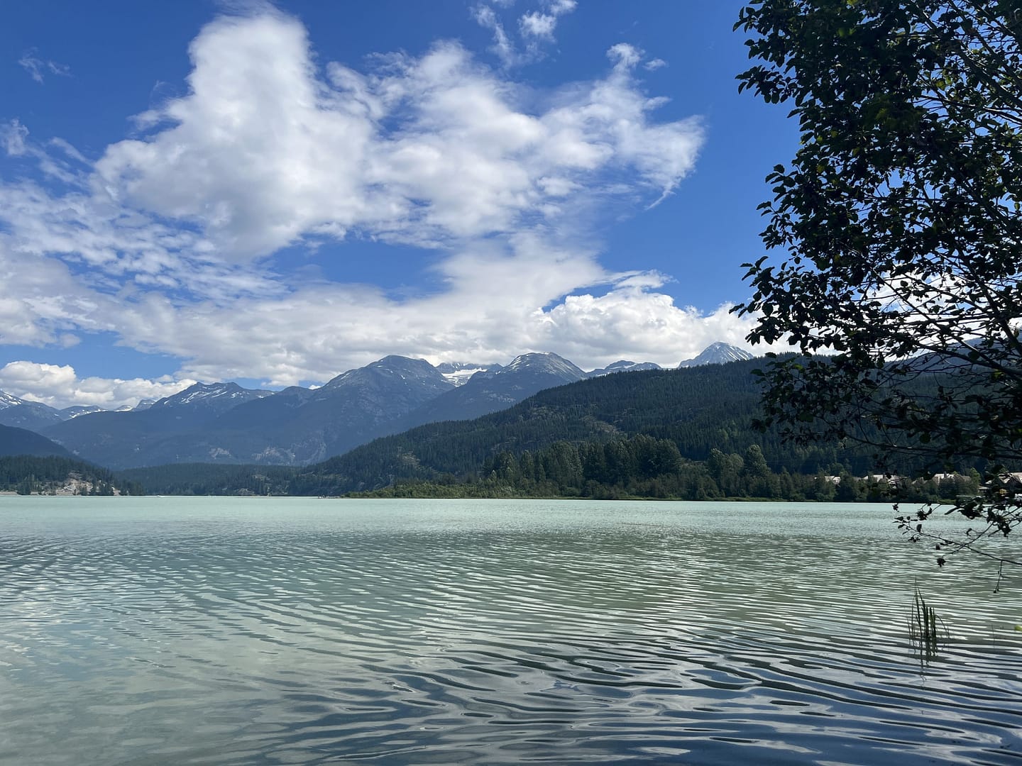 What is a Soundscape? Benefits and Applications Explained - Millie Wissar