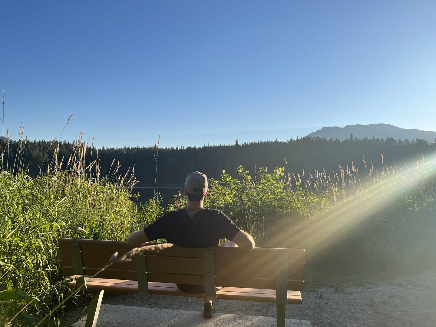 What is a Soundscape? Benefits and Applications Explained - Millie Wissar