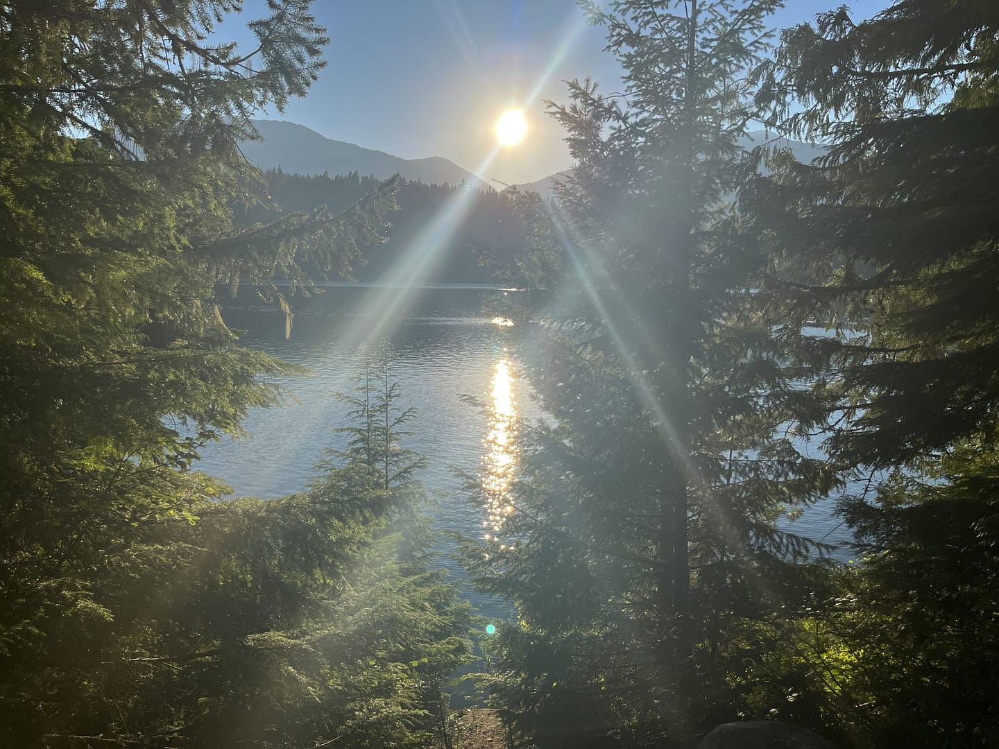 What is a Soundscape? Benefits and Applications Explained - Millie Wissar